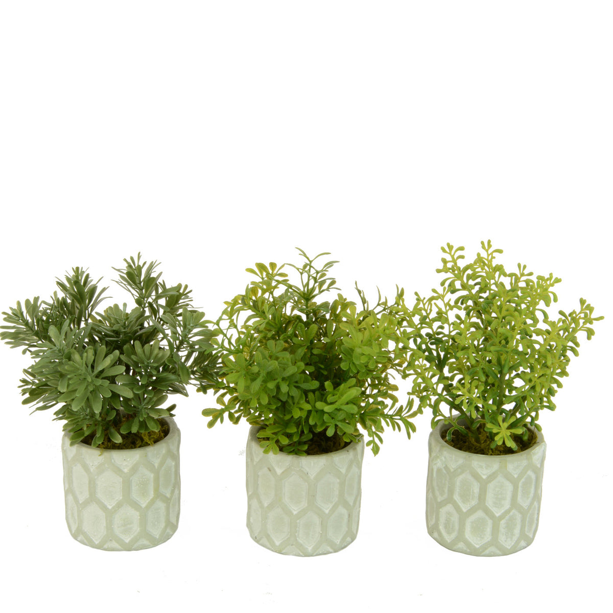 Mini Potted Plants - Set of 3 – Holmwood Living